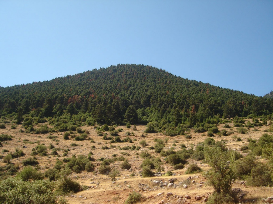 ΦΩΤΟΓΡΑΦΙΕΣ | ΒΛΑΧΕΡΝΑ ΑΡΚΑΔΙΑΣ