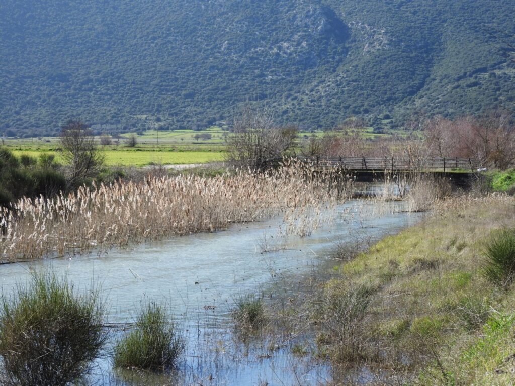 ΒΛΑΧΕΡΝΑ ΑΡΚΑΔΙΑΣ | Portal και Blog για την Βλαχέρνα Αρκαδίας